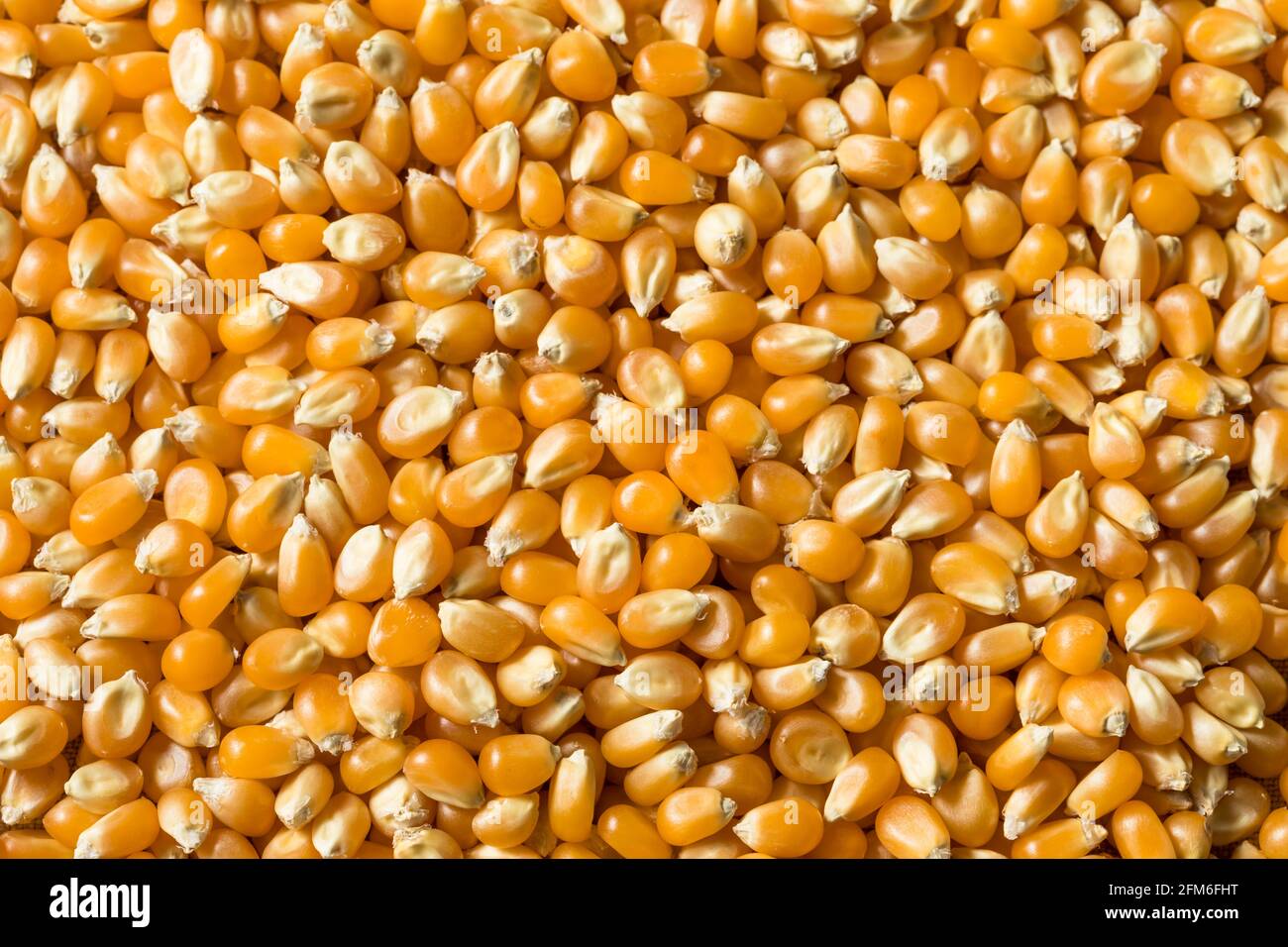 Raw popcorn hi-res stock photography and images - Alamy