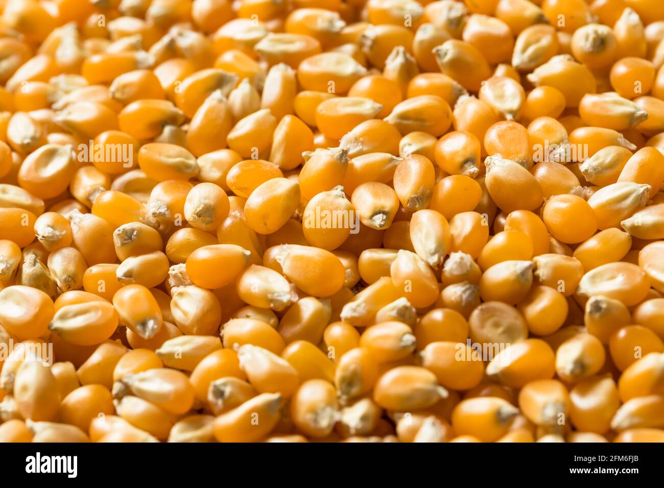Raw Dry Organic Yellow Popcorn in a Bowl Stock Photo - Alamy