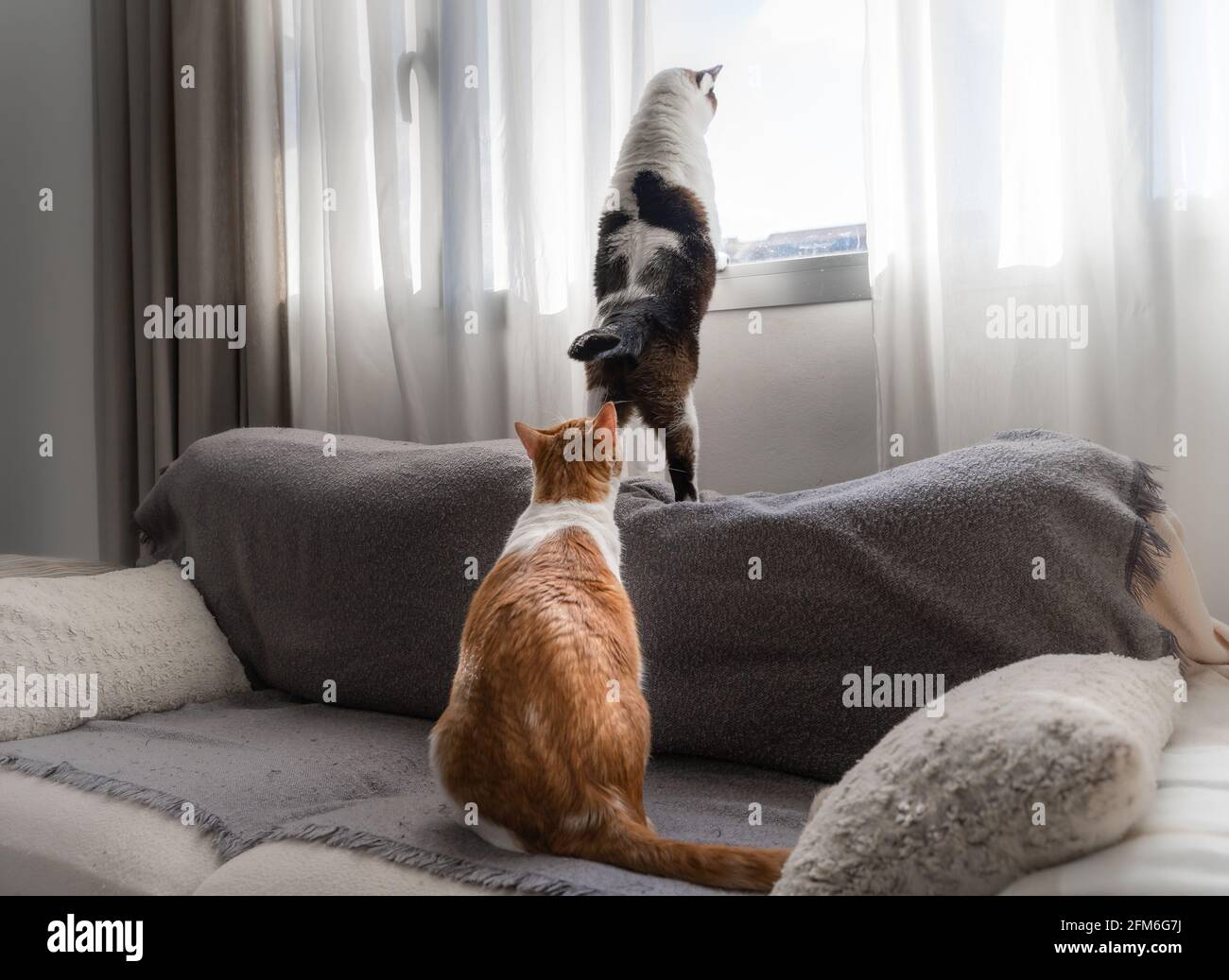 Interac hi-res stock photography and images - Alamy