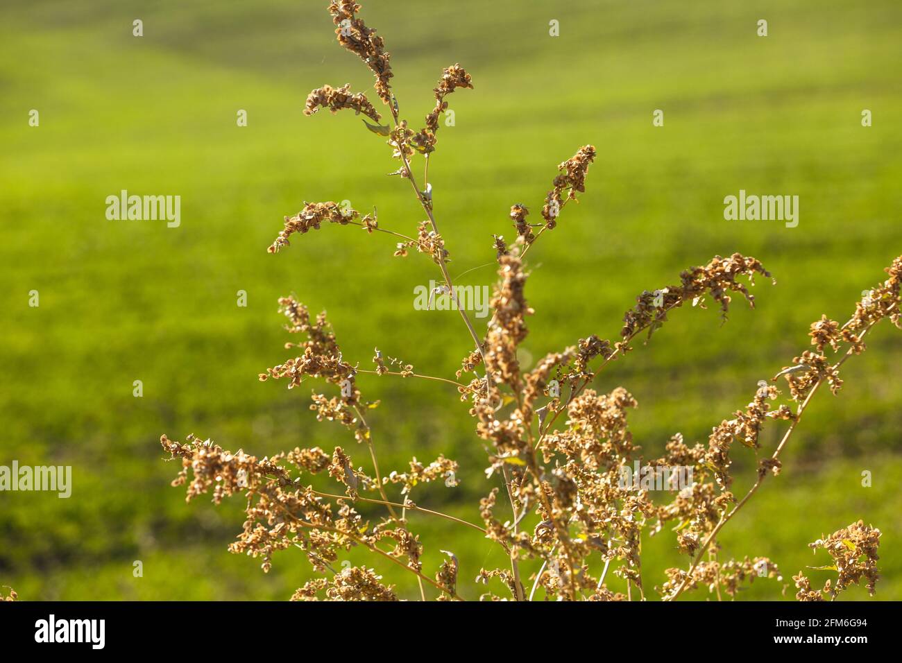 Farm land office space hi-res stock photography and images - Alamy