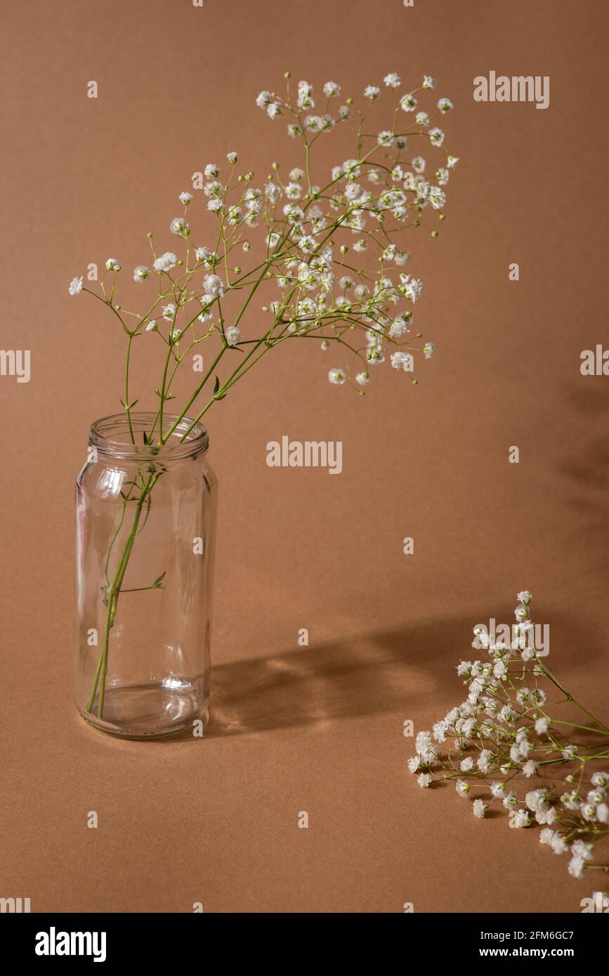 Dry flower branch on a light brown background. Trend, minimal concept ...