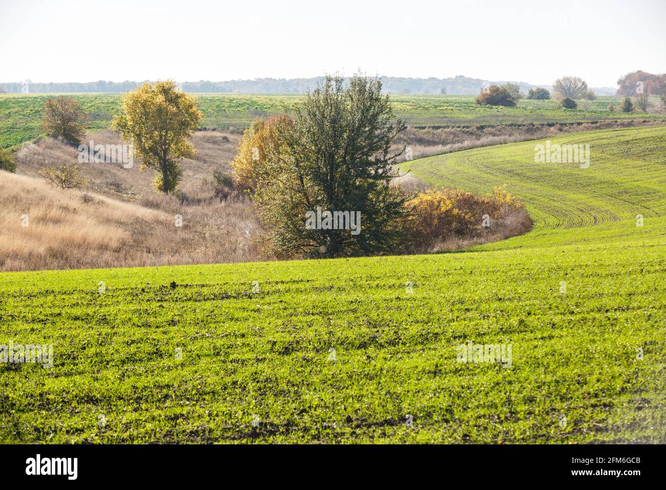 Farm land office space hi-res stock photography and images - Alamy