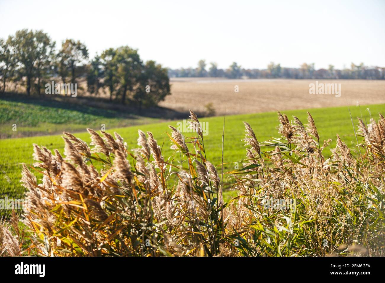 Farm land office space hi-res stock photography and images - Alamy