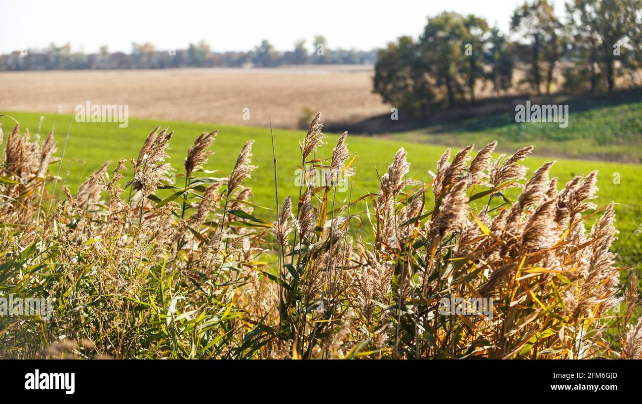 Farm land office space hi-res stock photography and images - Alamy