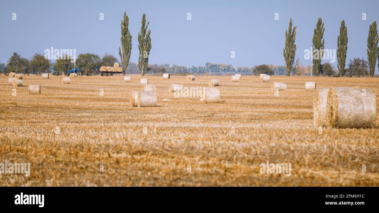 Hay bail harvesting in wonderful autumn farmers field landscape with ...