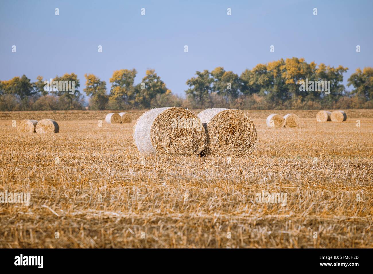Cropping land hi-res stock photography and images - Alamy