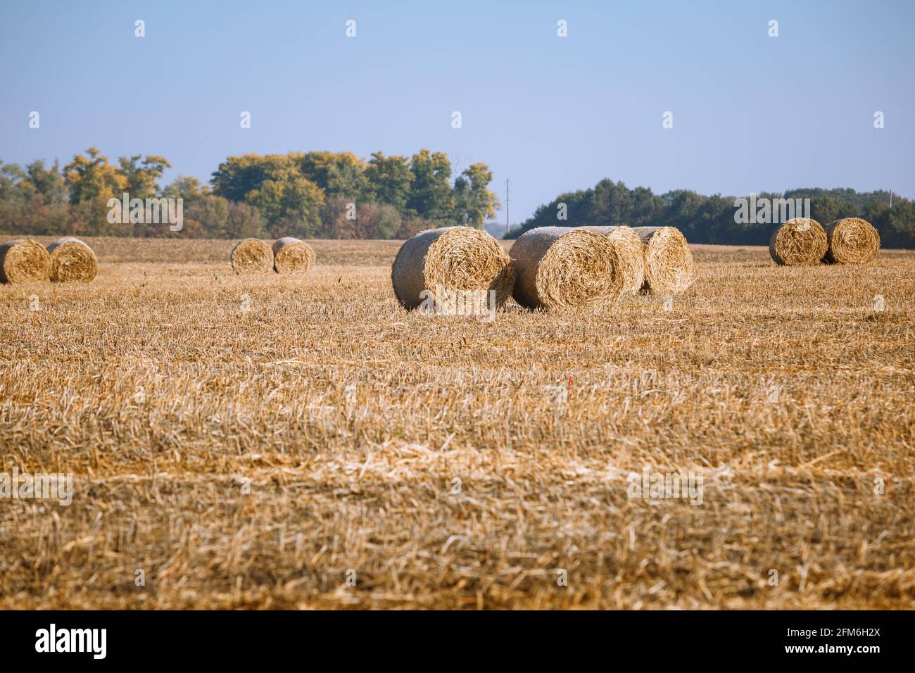 Hay bail harvesting in wonderful autumn farmers field landscape with ...