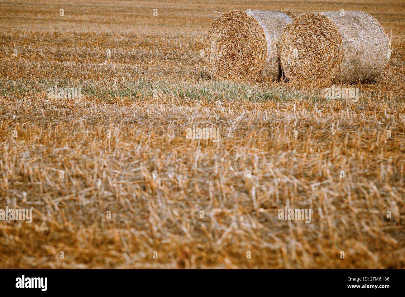 Hay bail harvesting in wonderful autumn farmers field landscape with ...