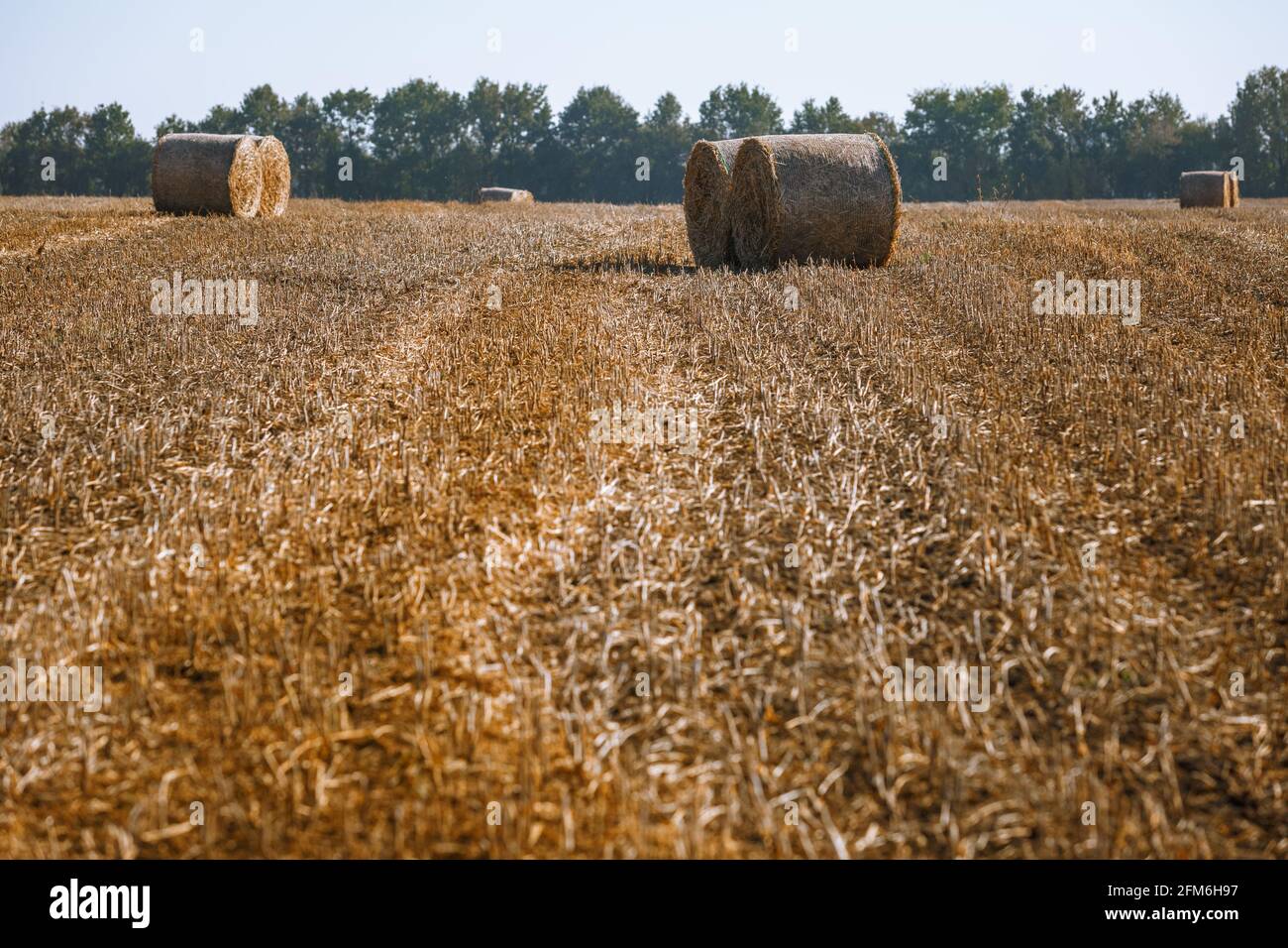 Hay bail harvesting in wonderful autumn farmers field landscape with ...