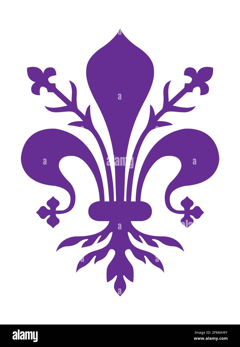 Illustration of the purple lily of Florence Stock Photo - Alamy