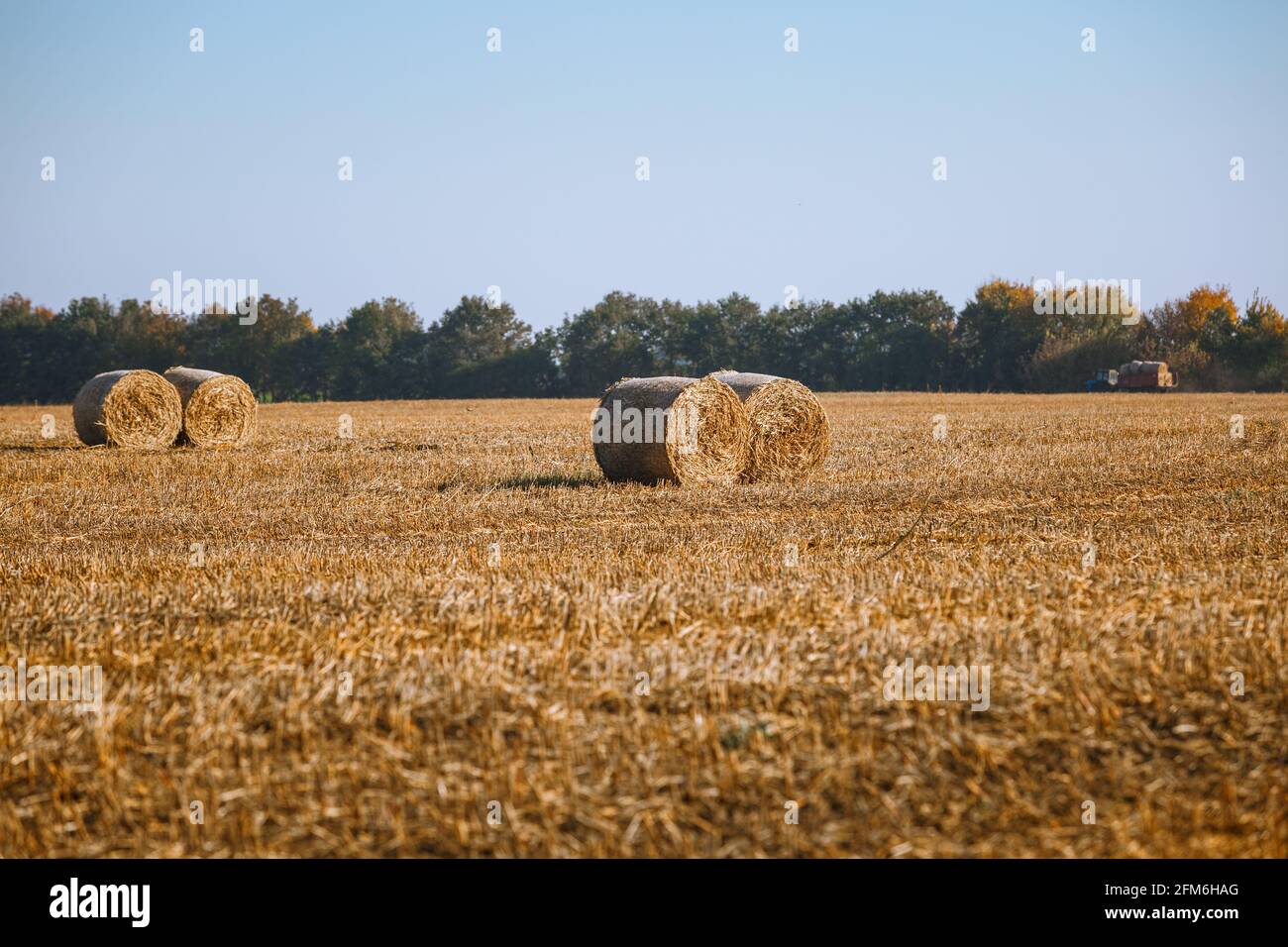 Hay bail harvesting in wonderful autumn farmers field landscape with ...