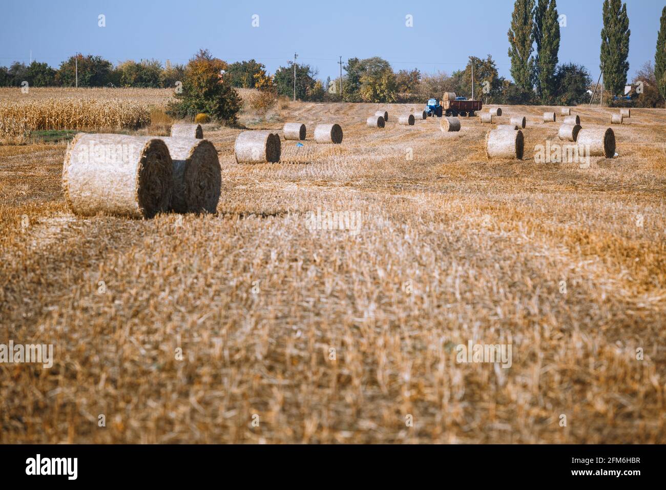 Hay bail harvesting in wonderful autumn farmers field landscape with ...
