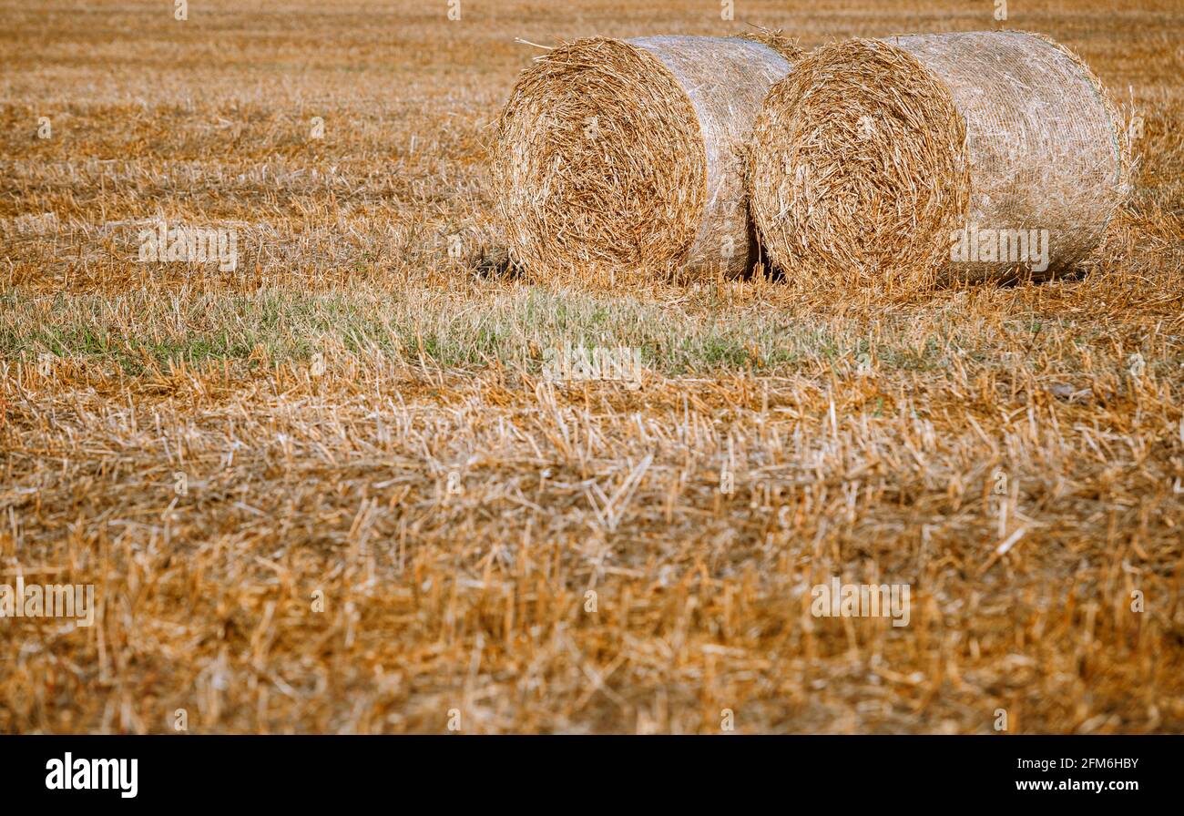 Hay bail harvesting in wonderful autumn farmers field landscape with ...