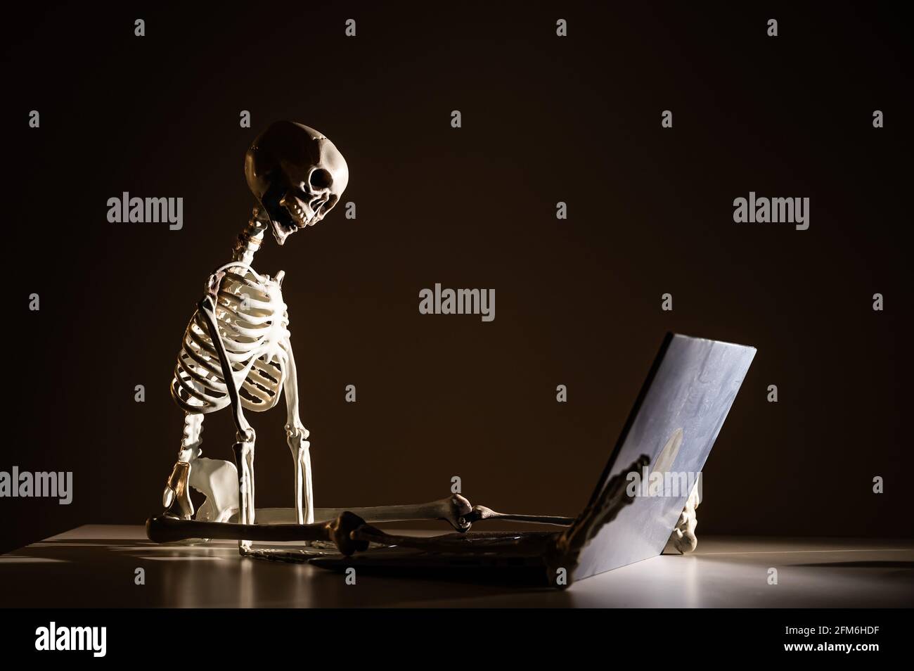 Skeleton sitting computer hi-res stock photography and images - Alamy