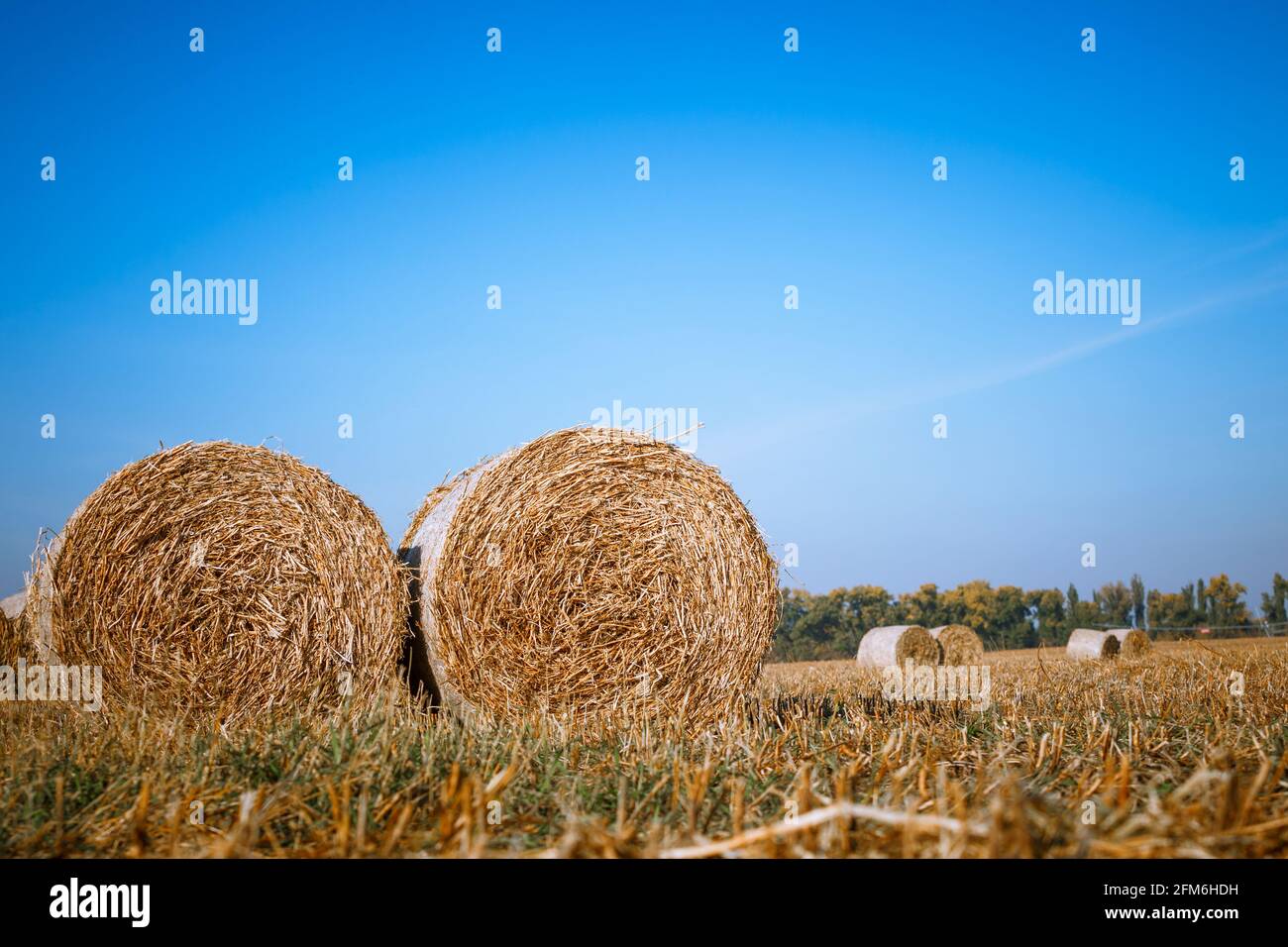 Hay bail harvesting in wonderful autumn farmers field landscape with ...