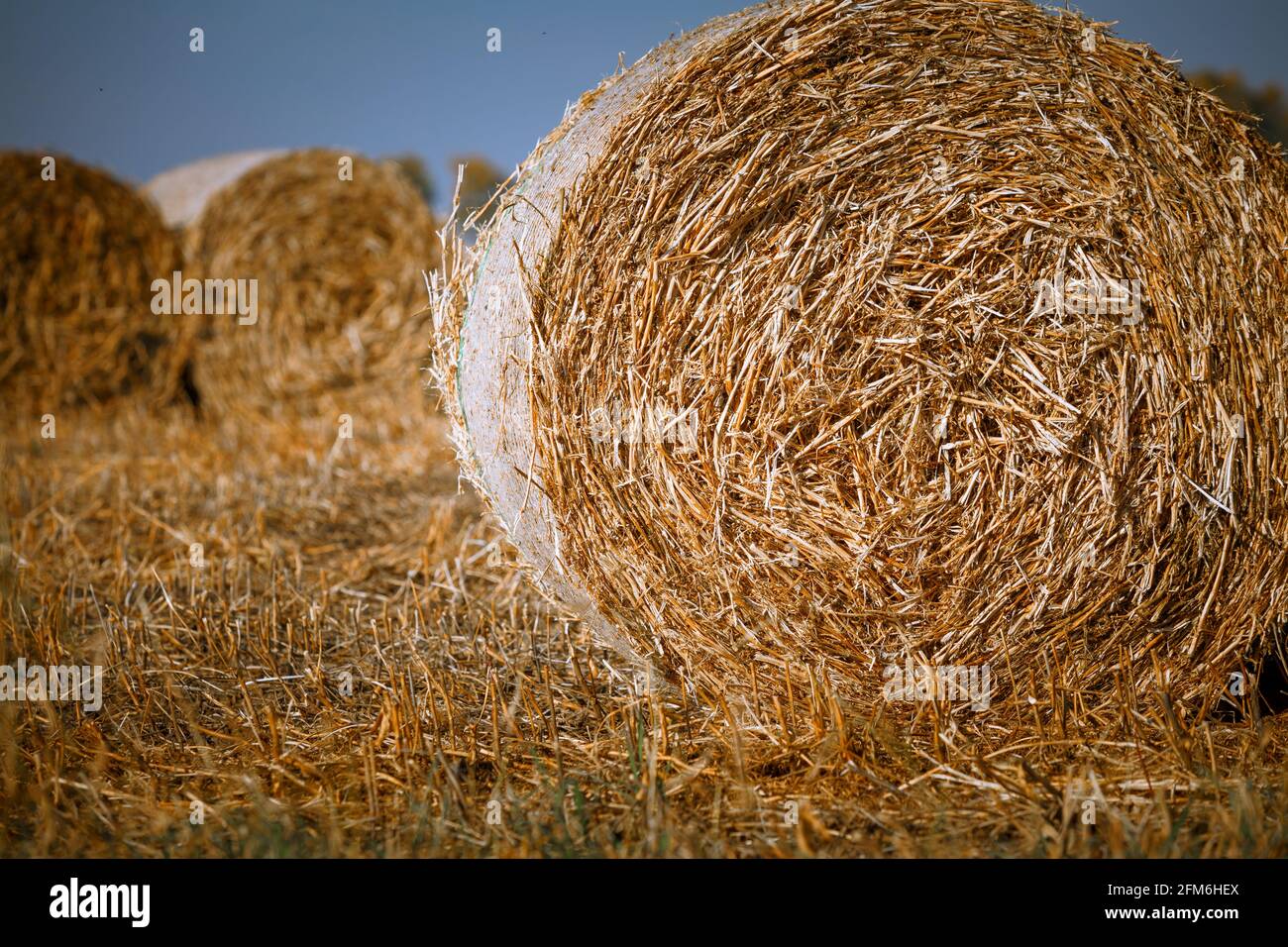 Hay bail harvesting in wonderful autumn farmers field landscape with ...