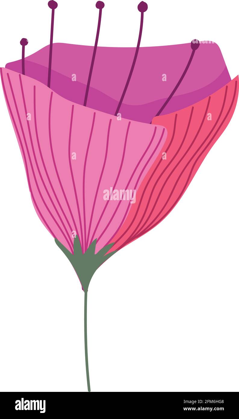 flower nature floral cartoon isolated Stock Vector Image & Art - Alamy