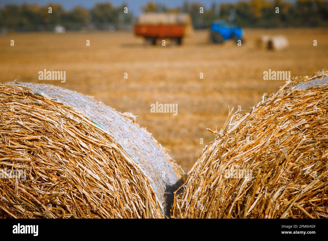Hay bail harvesting in wonderful autumn farmers field landscape with ...