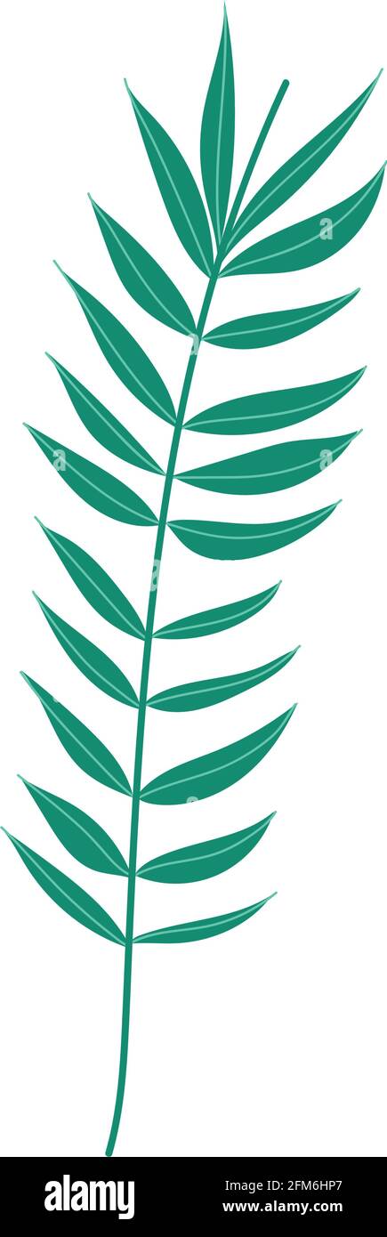 foliage vegetation nature cartoon isolated Stock Vector Image & Art - Alamy