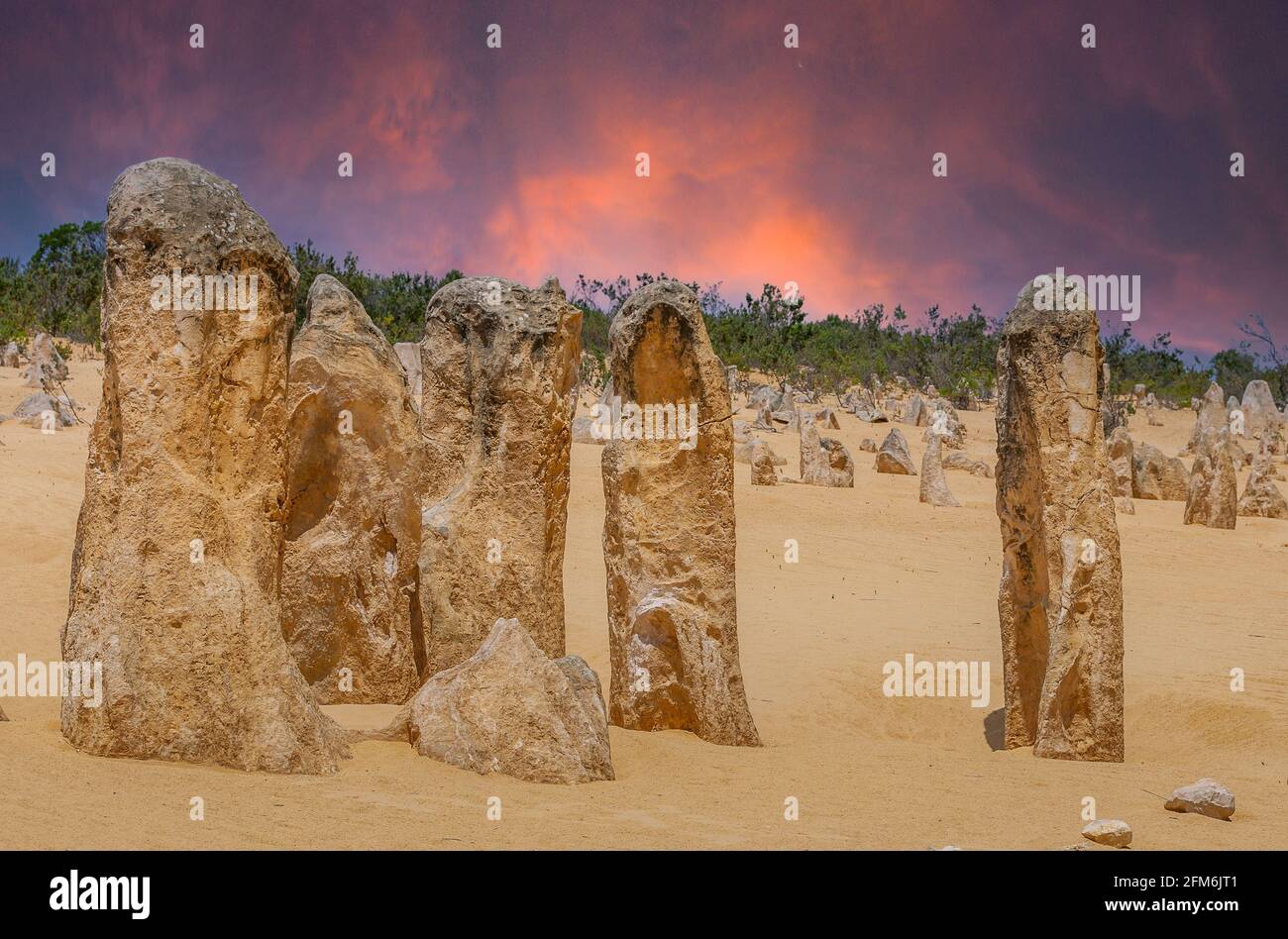 Pinnacles national park trees hi-res stock photography and images - Alamy