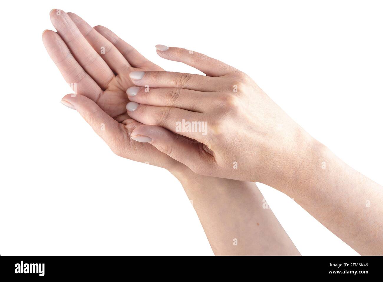 Close up hands of girl isolated on white background. Woman hands ...
