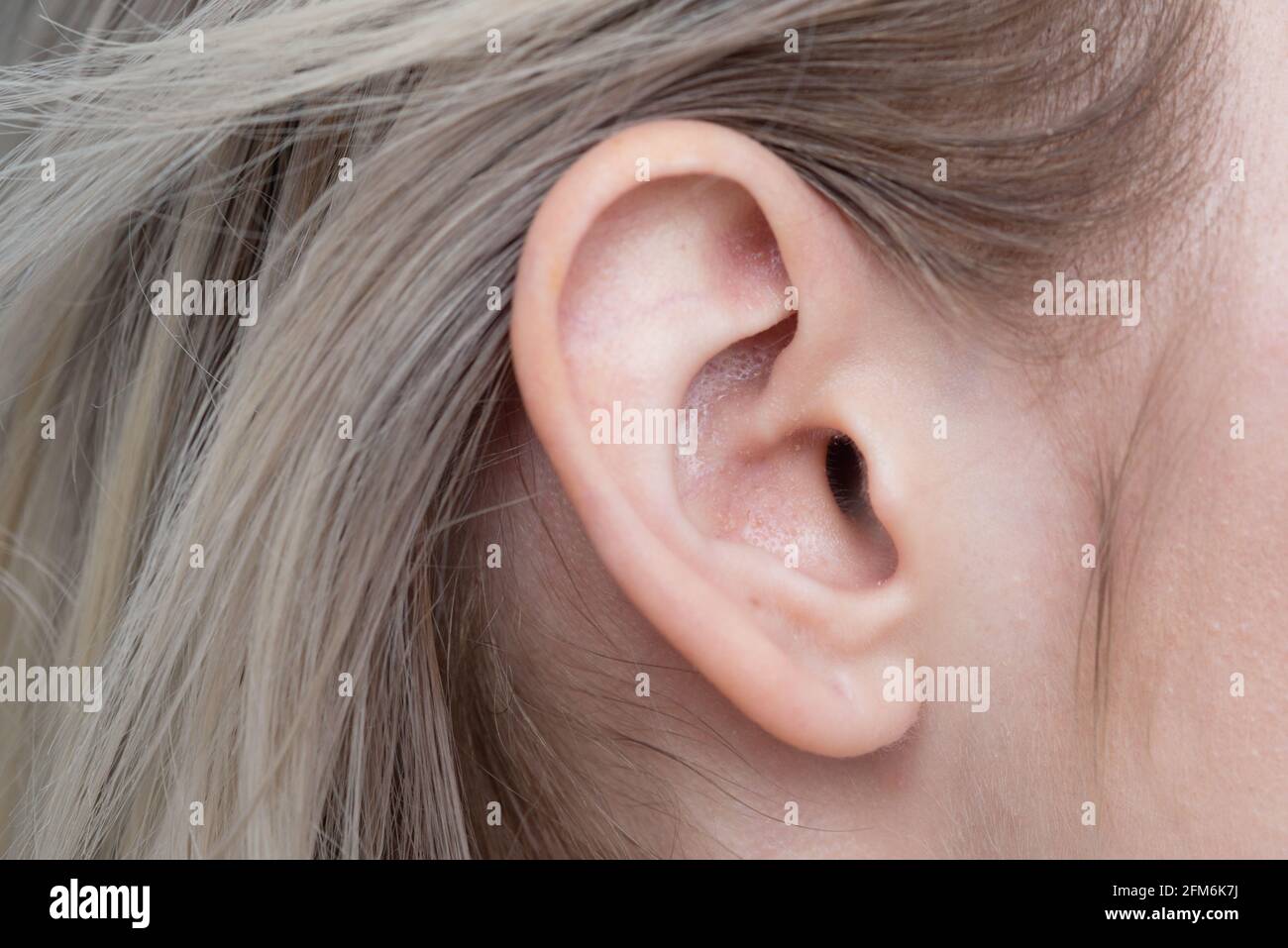 Ear Piercing Woman Close Up High Resolution Stock Photography and ...