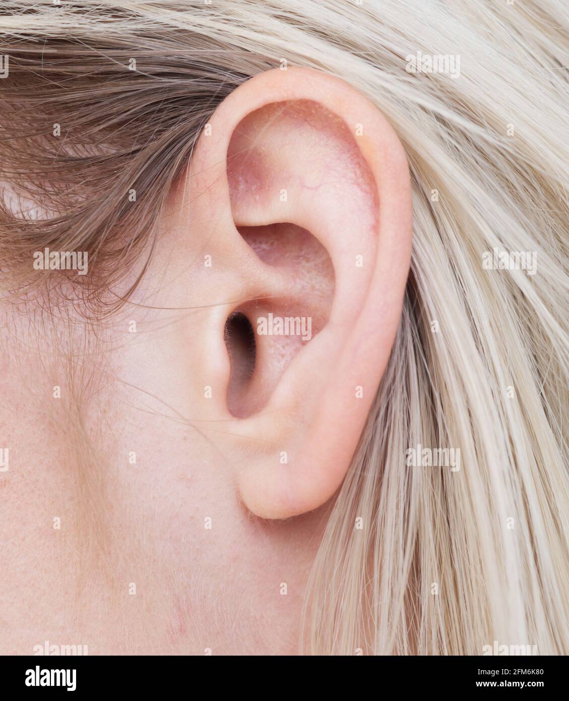 Ear piercing woman close up hi-res stock photography and images - Alamy