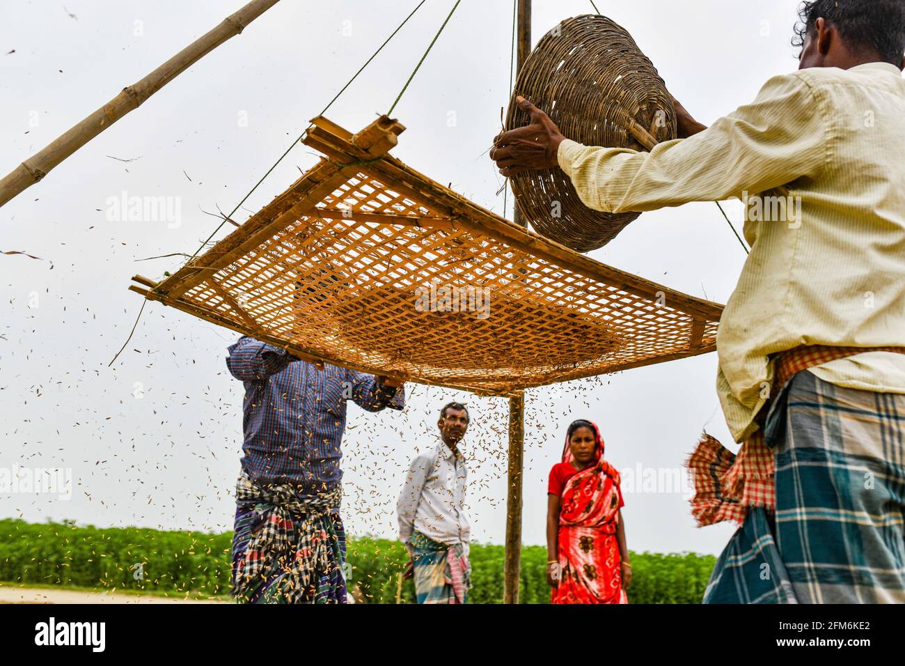 Nikli hi-res stock photography and images - Alamy