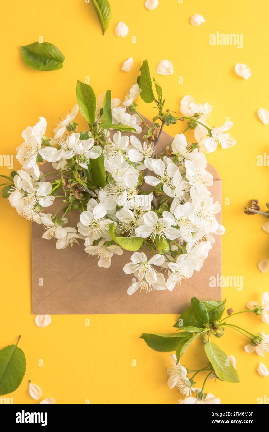 Cherry white flowers bouquet inside a envelope. Holiday, Mothers day ...
