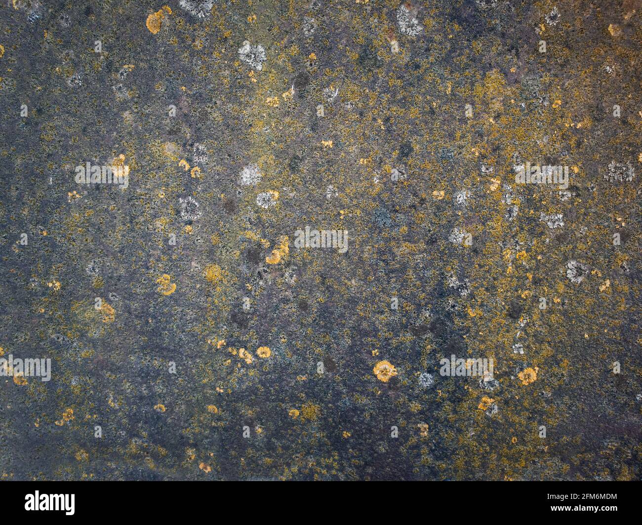 Old rusty and rotten metal plate hi-res stock photography and images ...