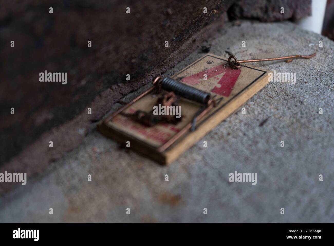 Old wooden mouse trap set for capturing a mice Stock Photo - Alamy