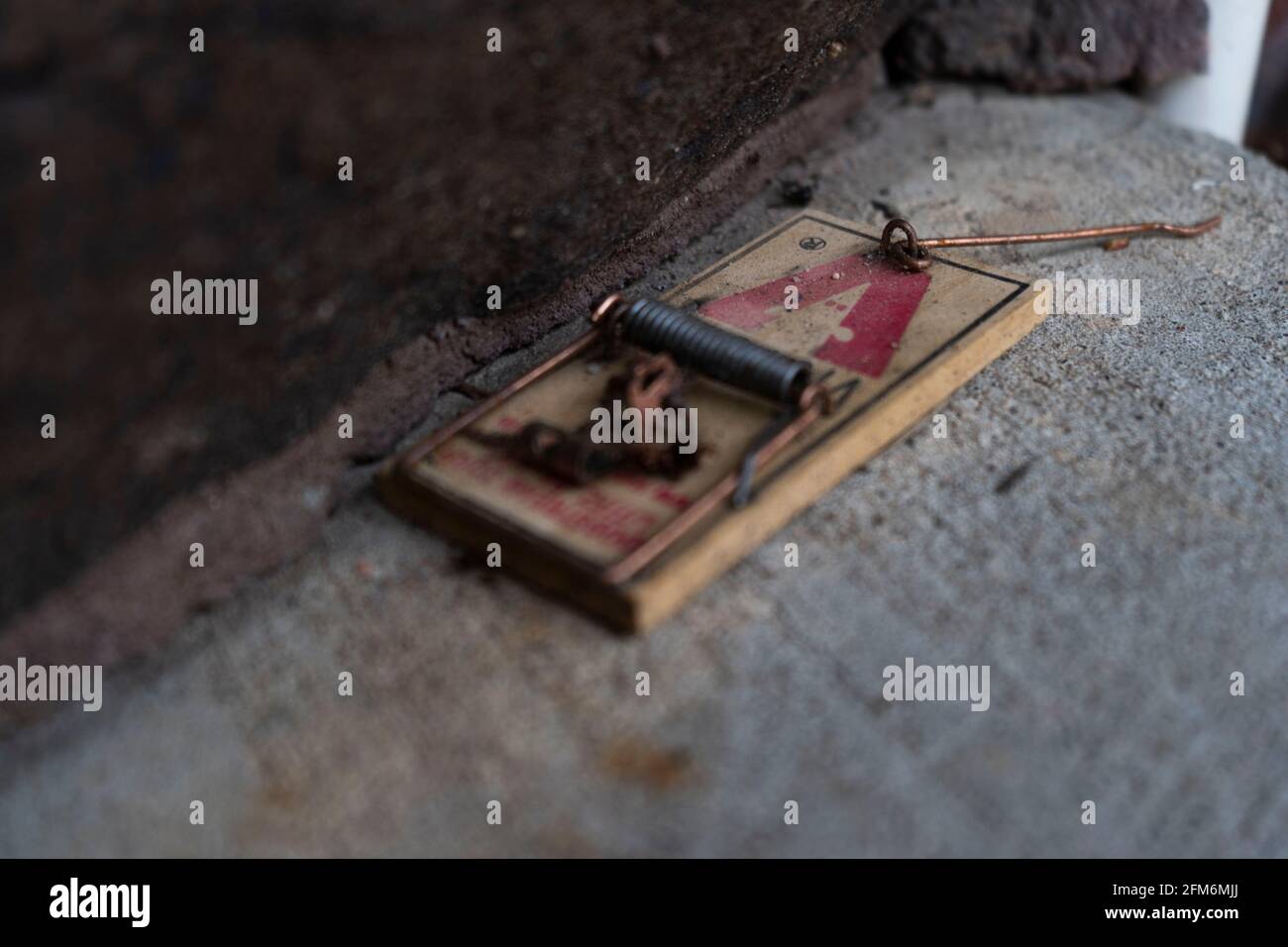 Old wooden mouse trap set for capturing a mice Stock Photo - Alamy