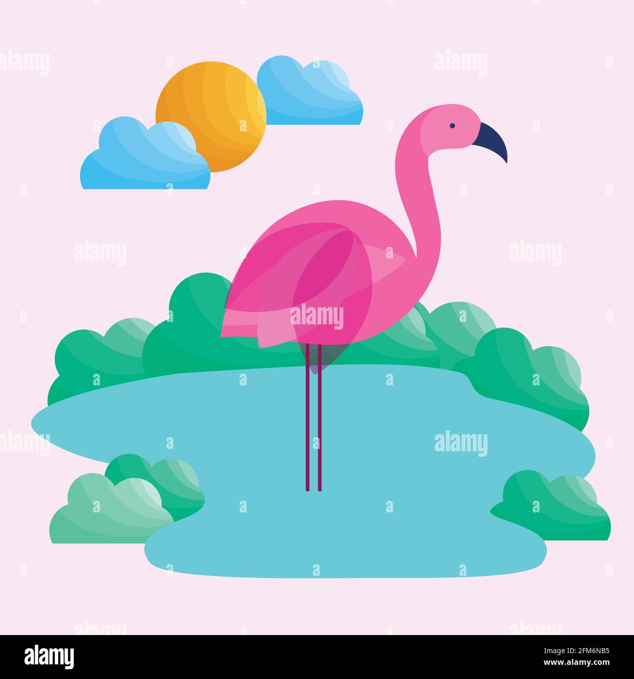 flamingo on water bird cartoon Stock Vector Image & Art - Alamy