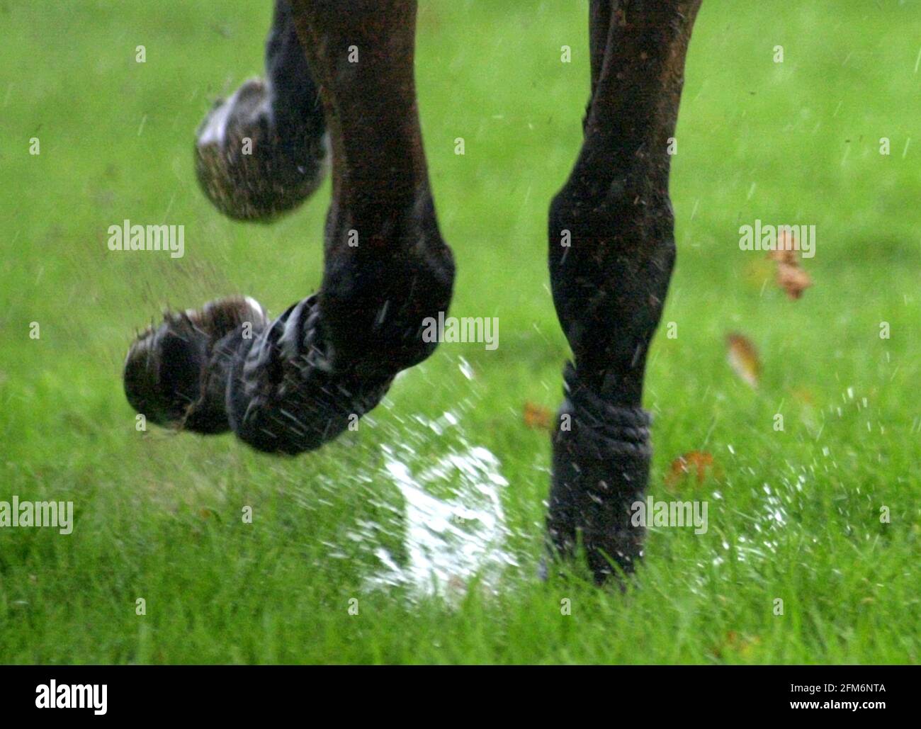 Fontwell hi-res stock photography and images - Alamy