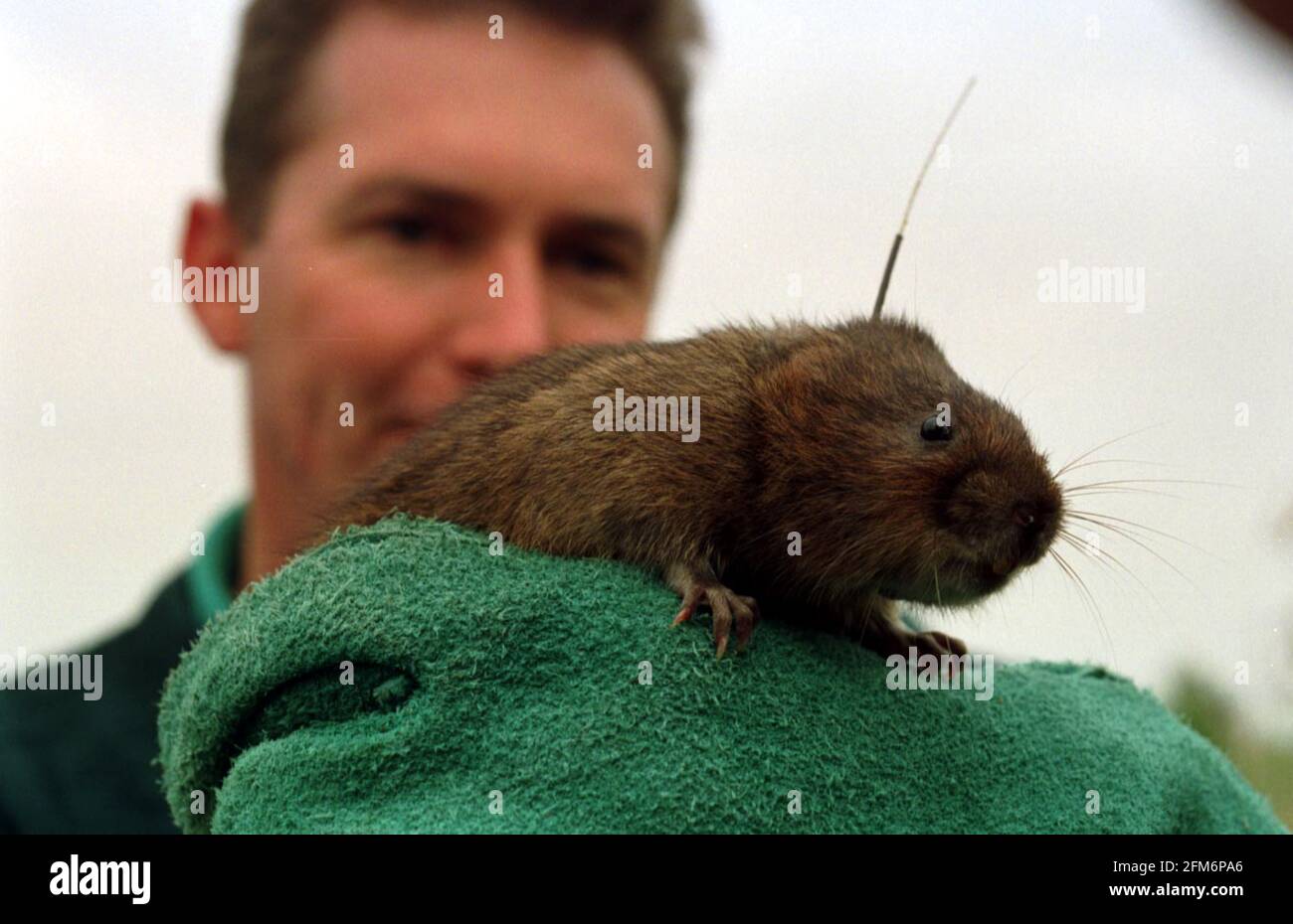 Rob strachan hi-res stock photography and images - Alamy