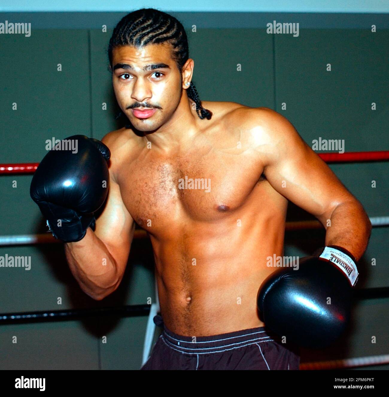 David hay hi-res stock photography and images - Alamy