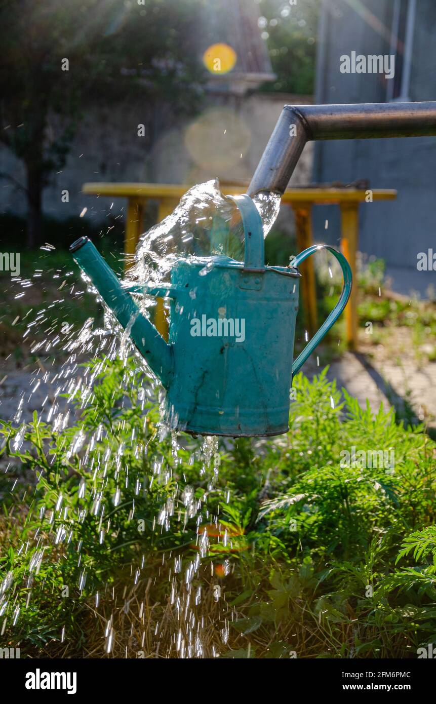 Pouring water into an old garden watering can from a garden column ...
