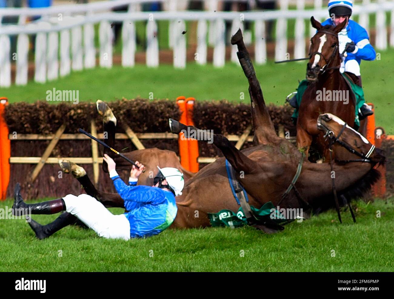 David greif hi-res stock photography and images - Alamy