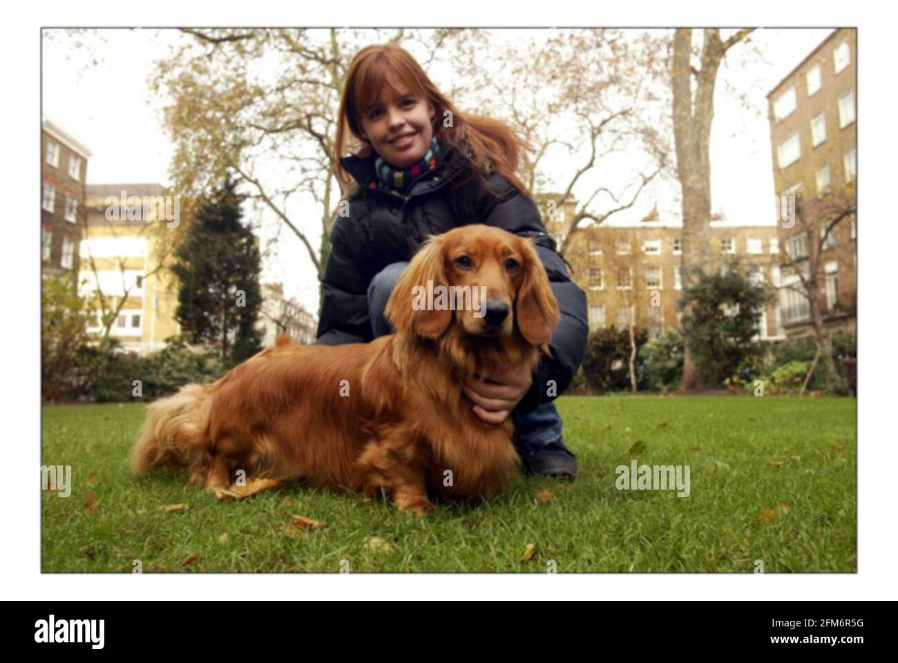 Preparing for the ring Rovi Kelner (dachshund) with handler Chamois ...