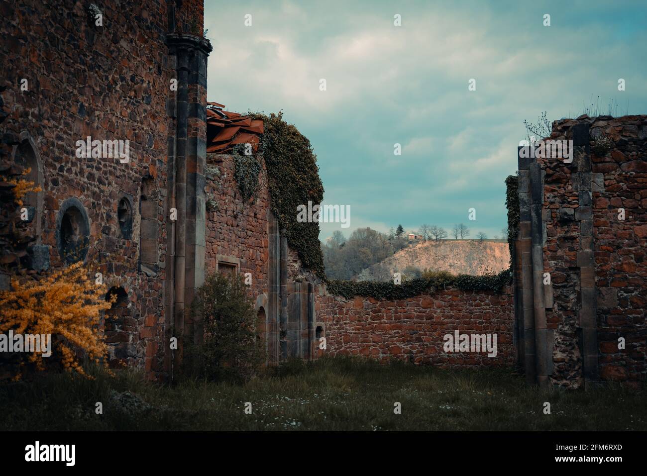 Brick walls of an old monastery in ruins in an overgrowth Stock Photo ...