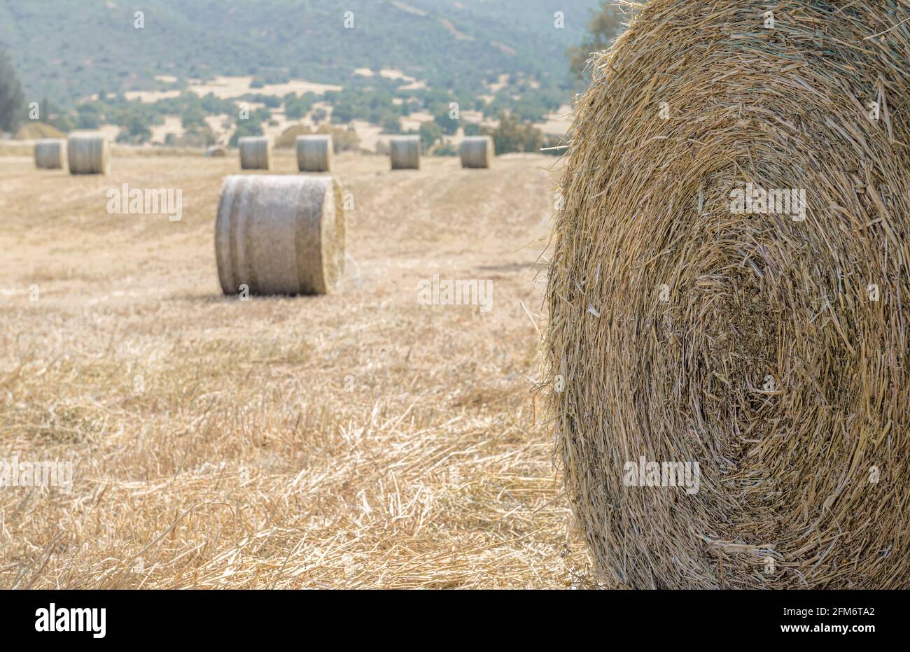 Haystack stack dry grass hi-res stock photography and images - Alamy