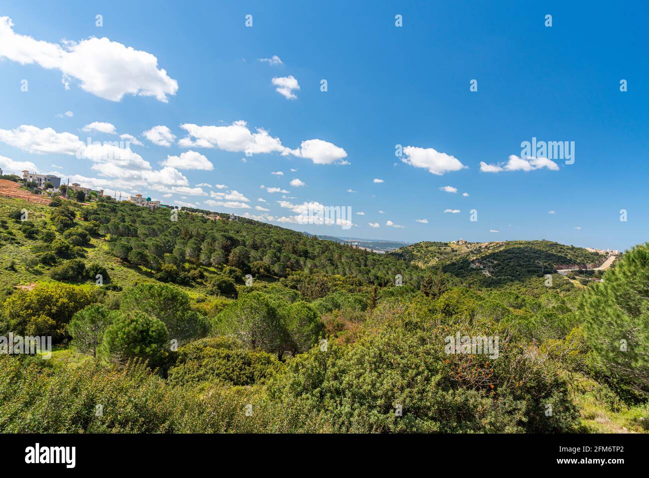 A view of a mountain range of a green forest against a dramatic back of ...