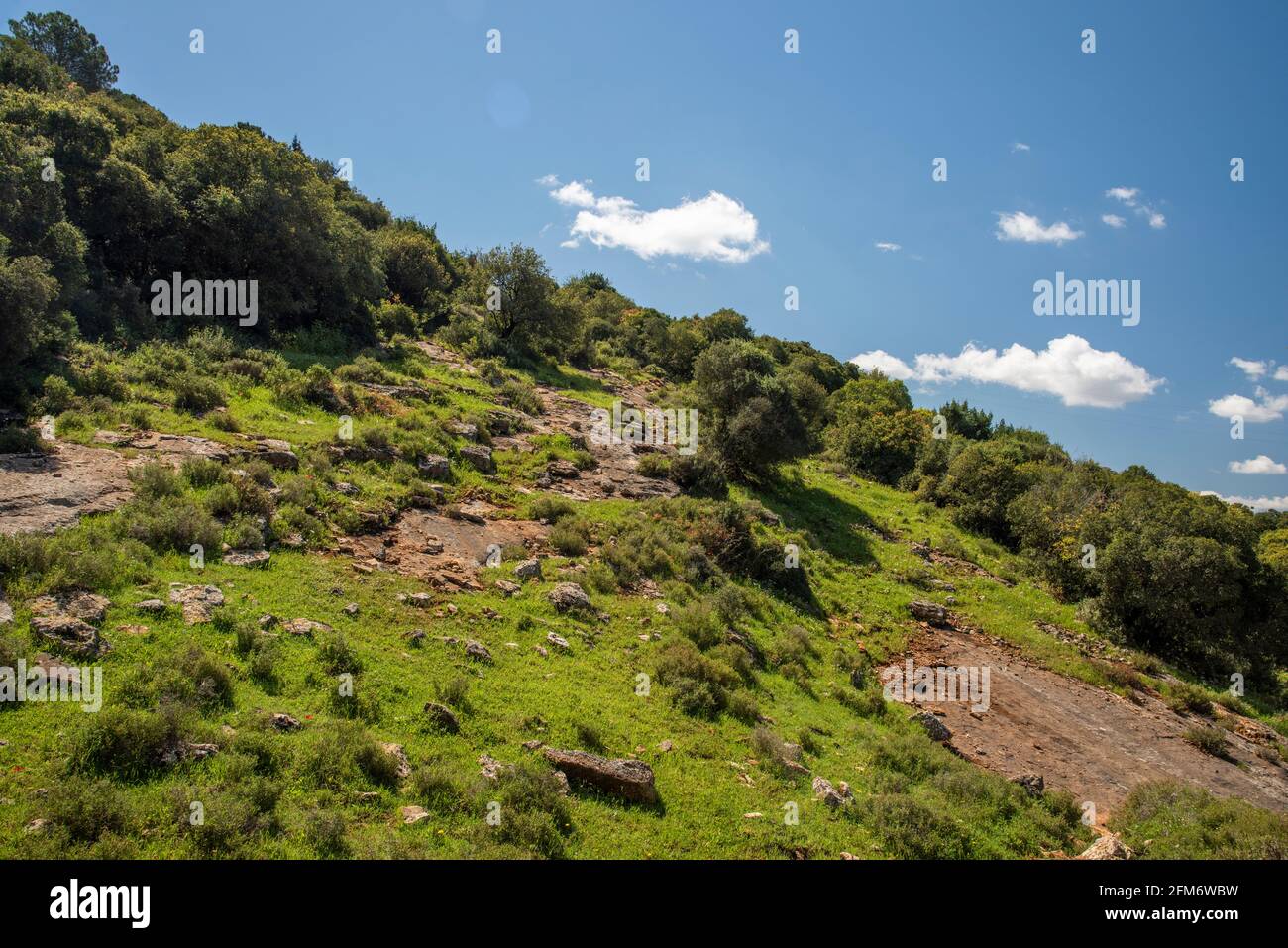 A view of a mountain range of a green forest against a dramatic back of ...