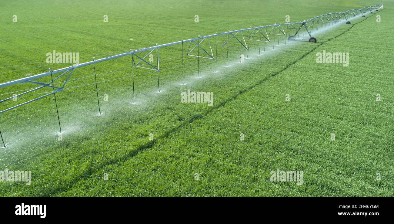 watering the crops in the field Stock Photo - Alamy
