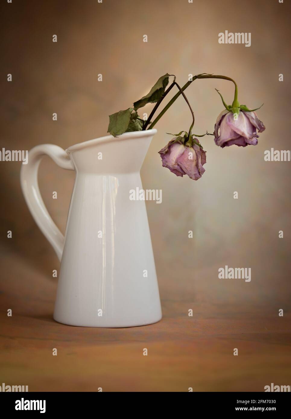 Wither flowers hi-res stock photography and images - Alamy