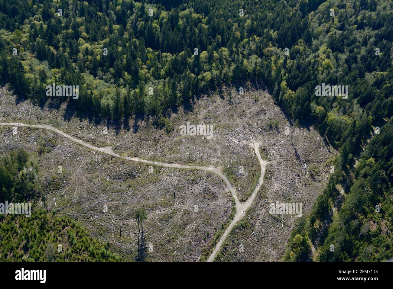 Aerial photograph of a logging operation, Vancouver Island, British ...