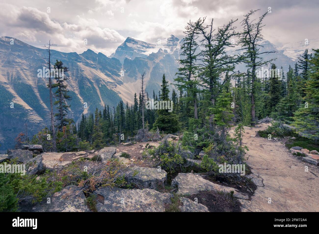 View of the trail to Big Beehive in Banff National Park, Alberta ...