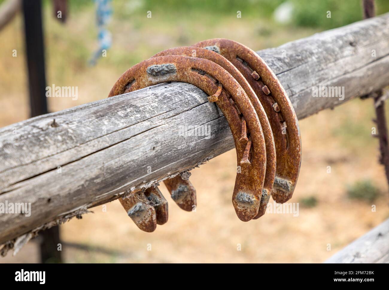 Rusty horseshoes, Grant-Kohrs Ranch National Historic Site, Deer Lodge ...