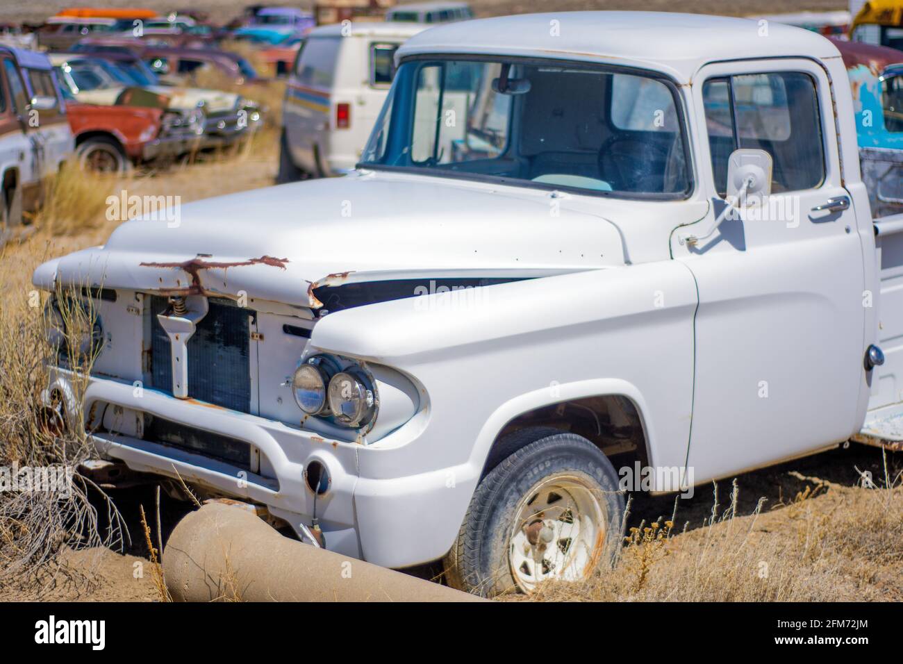 Old retro white truck in the junkyard Stock Photo - Alamy