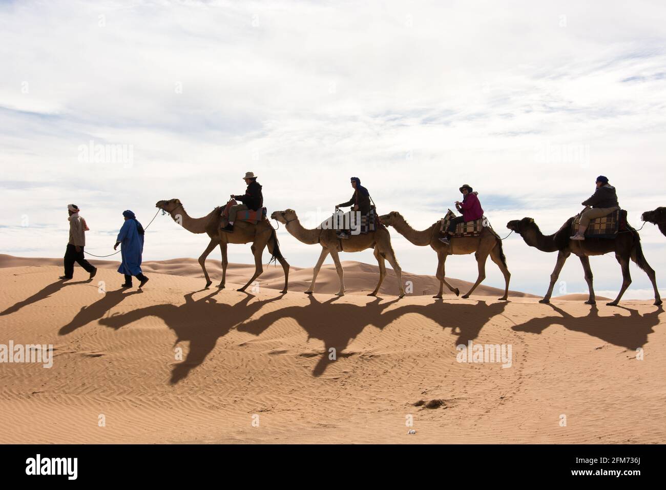 Camel caravan in the Sahara Desert, Morocco Stock Photo - Alamy